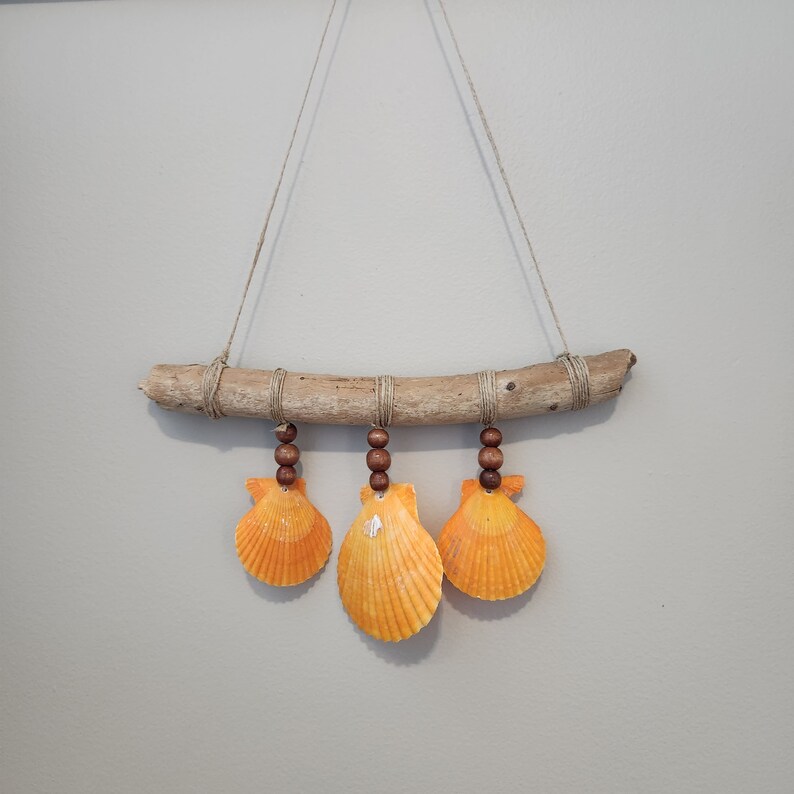 Cute Handmade Driftwood and Seashell Wall Hanging - Etsy Australia
