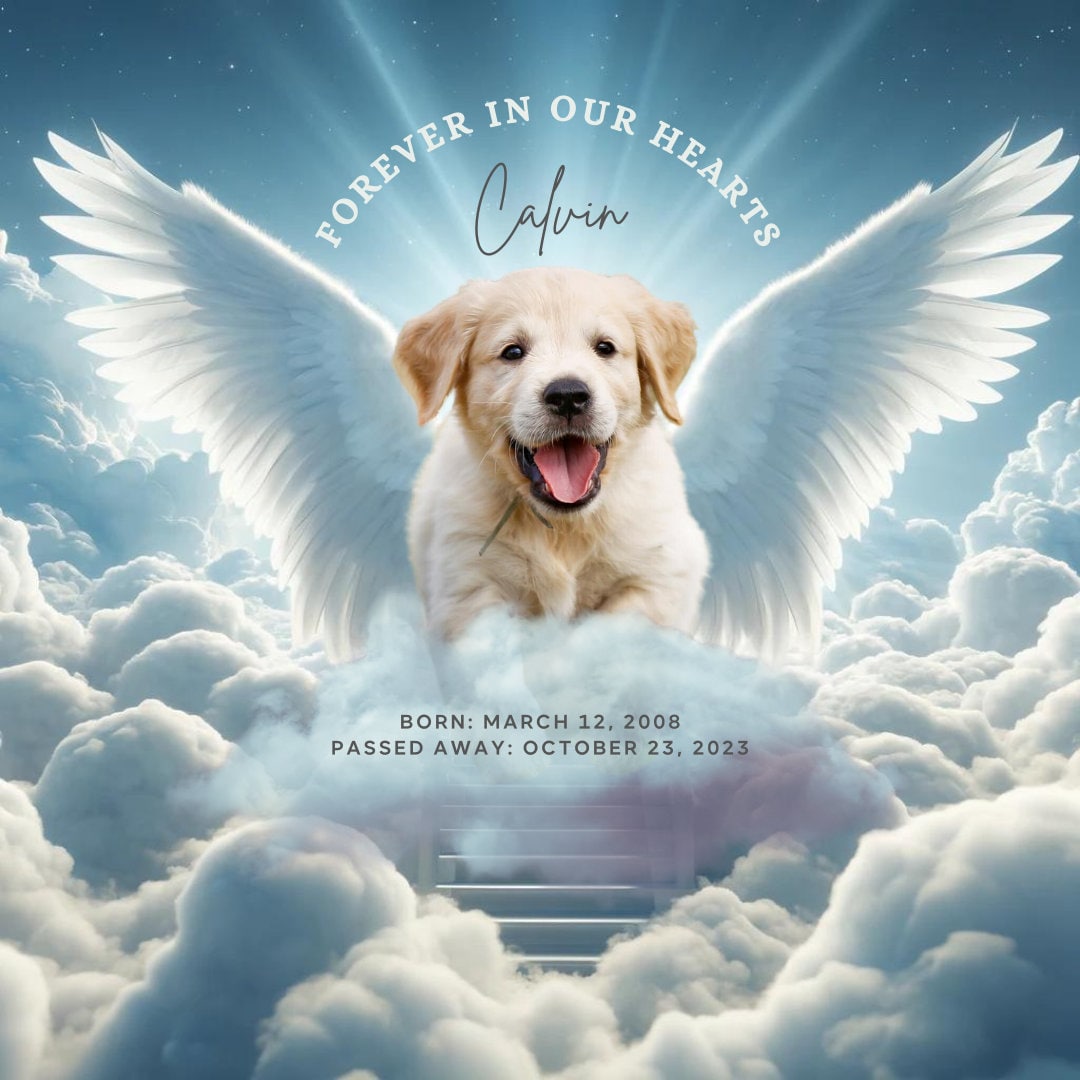 Pet Memorial Photo Template, Pet Sympathy Gift, Loss of Dog or Cat ...