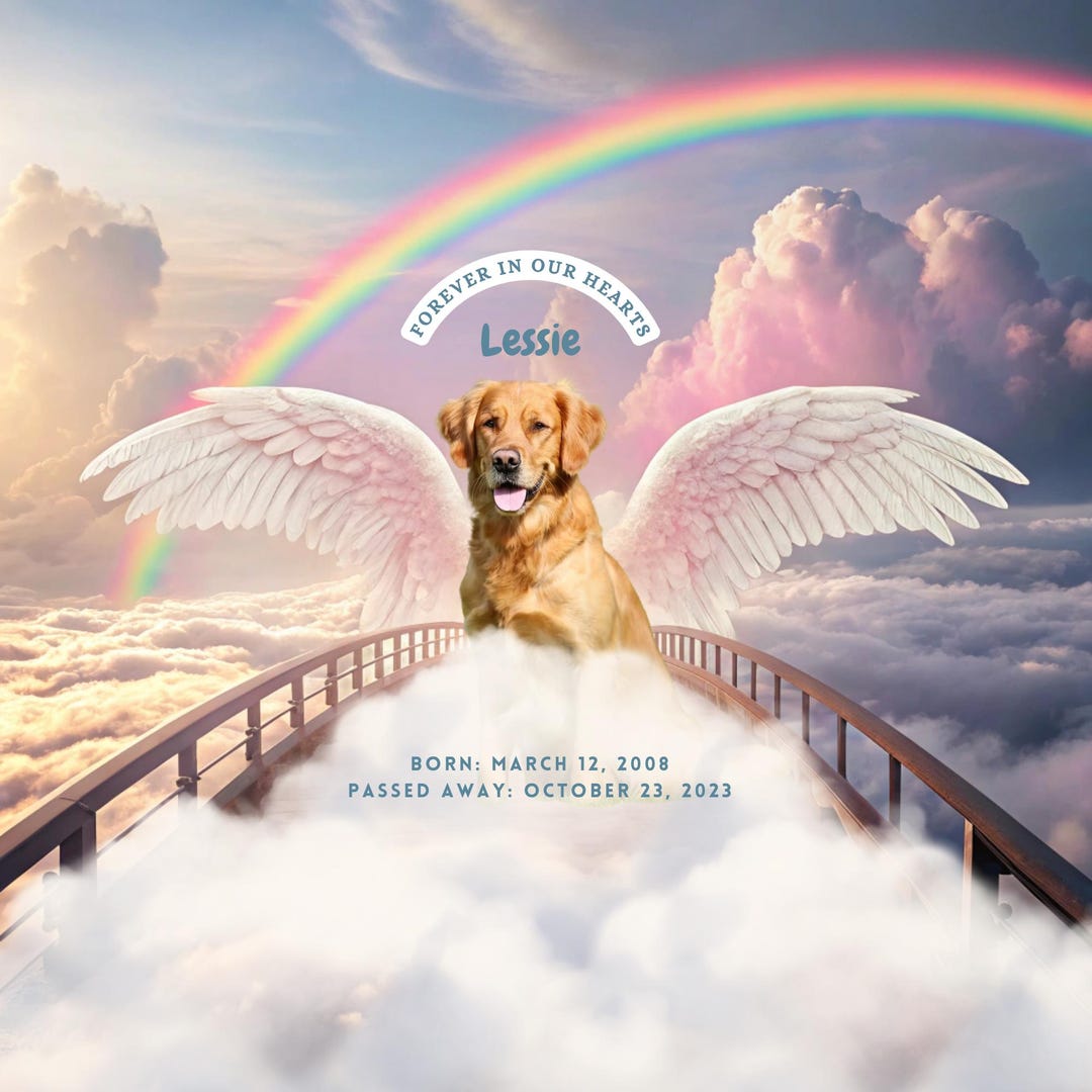 Custom Pet Memorial Photo Template, Angel Wings (canva Template) - Etsy