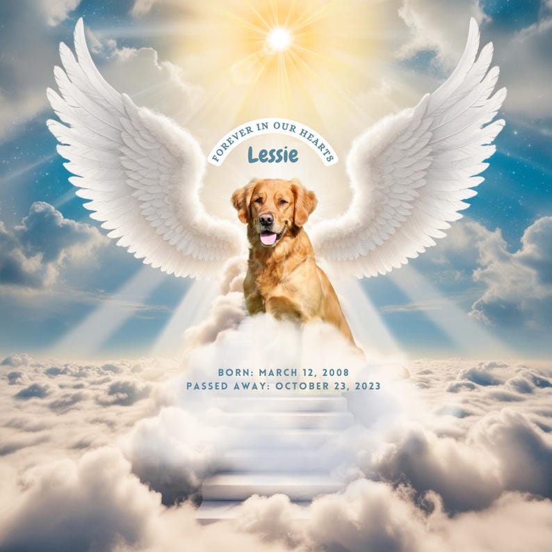 Pet Memorial Photo Template, Pet Sympathy Gift, Loss of Dog or Cat ...