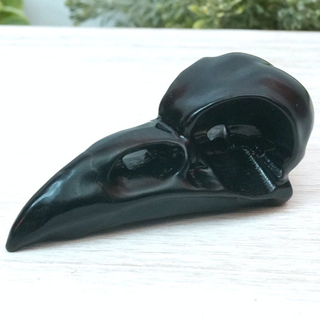 Black Obsidian Raven Skull | Palm Sized Crystal Carving - Etsy