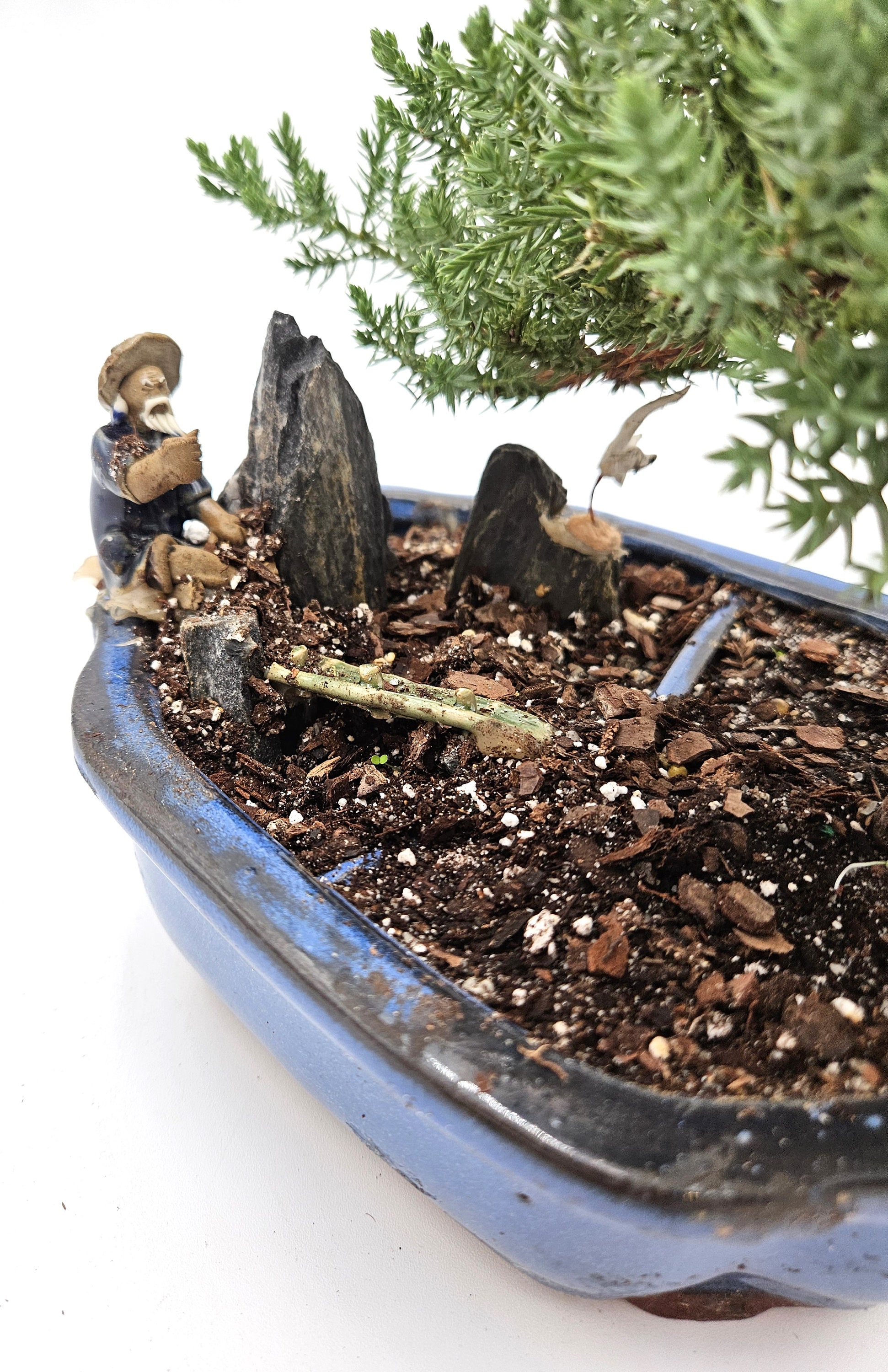 Blue Quince Fisherman Pot Gift Holiday Gift for Garden Lover Fisherman ...