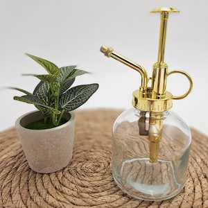 Glass Watering Spray Bottle Plant Mister Plant Spritzer Garden ...
