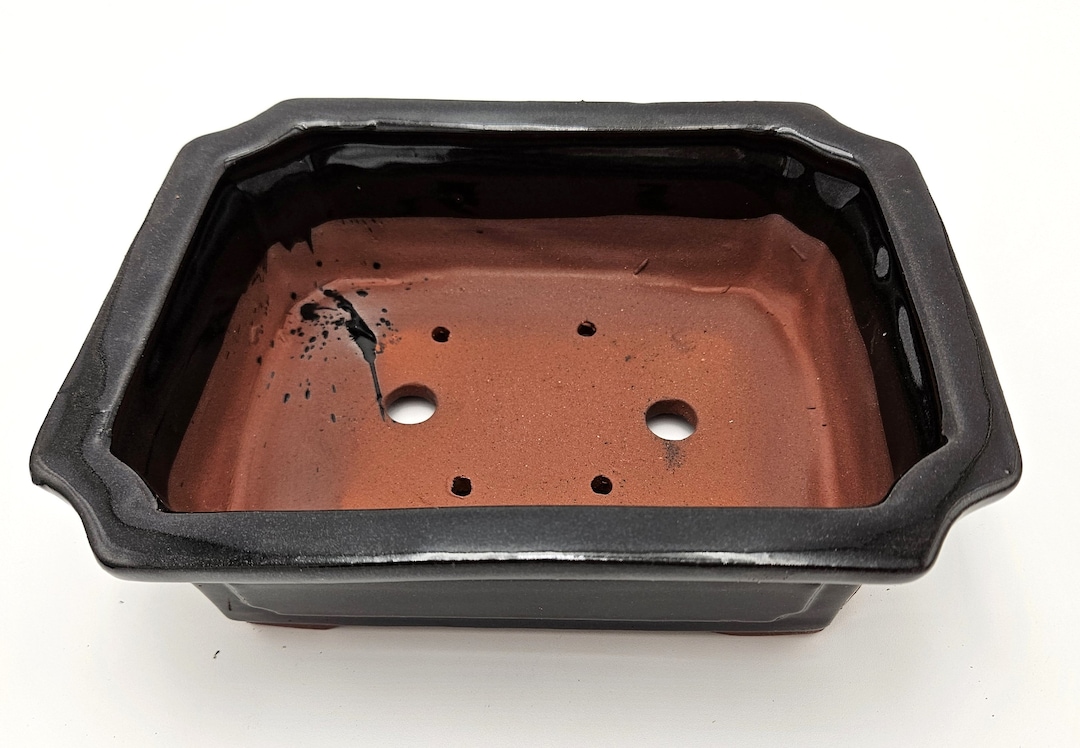 Black Quince Ceramic Pot for Indoor Tree Repotting Glossy Ceramic Pot ...