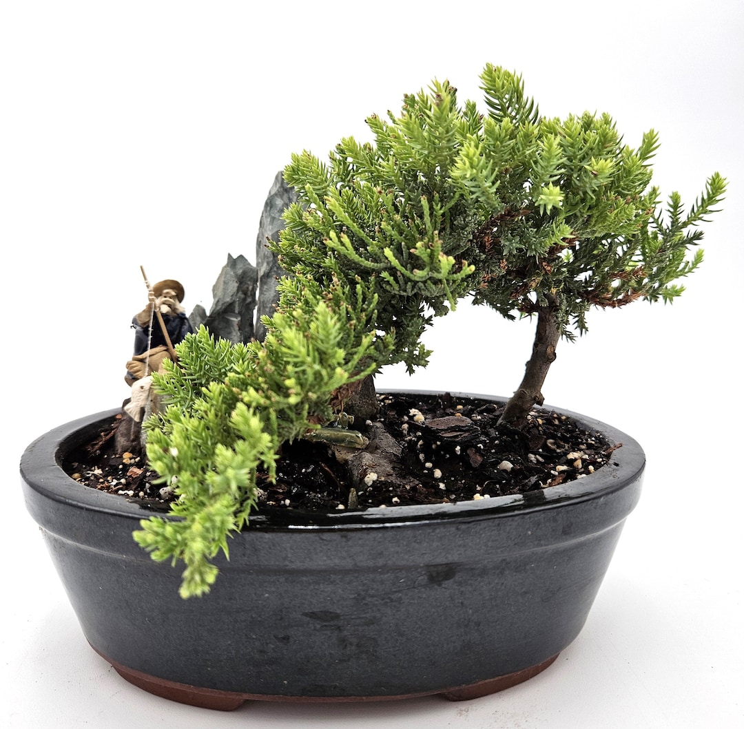 Black Oval Fisherman Pot Figurine Garden Pot Holiday Gift for Garden ...