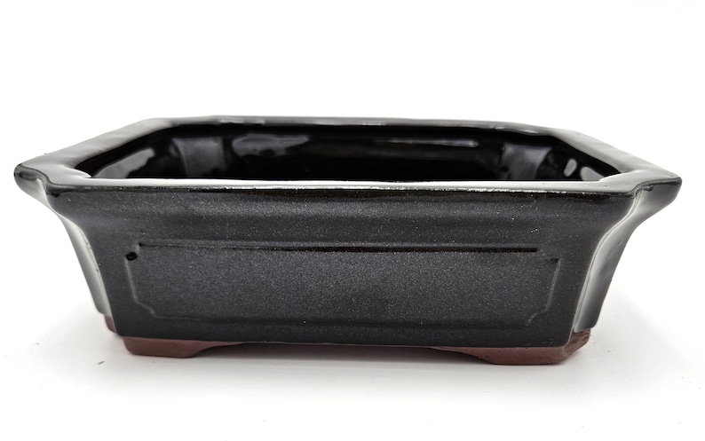 Black Oval Ceramic Pot for Indoor Tree Pot Med Glossy Ceramic Pot for ...