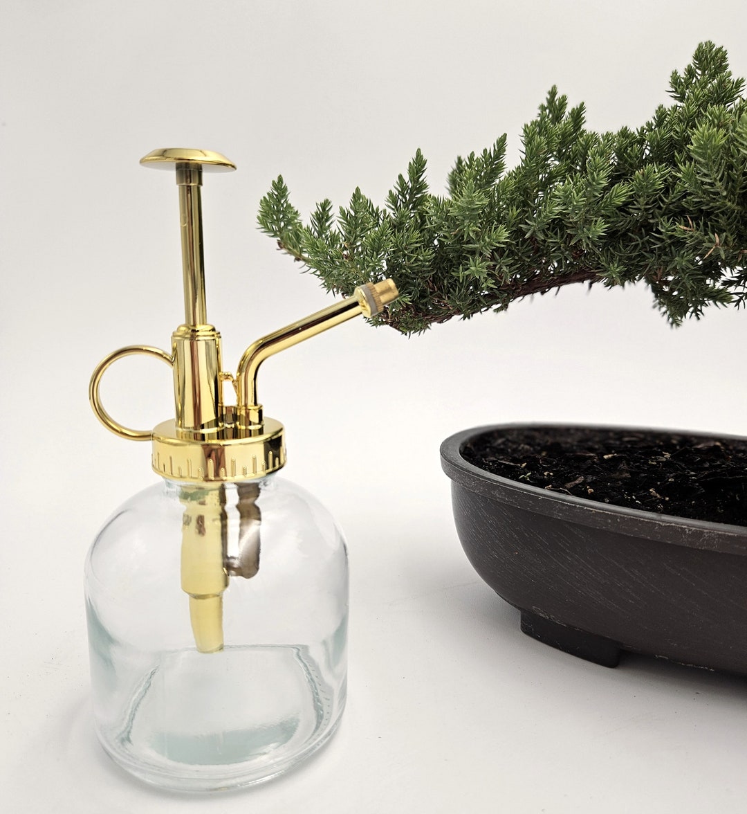 Glass Watering Spray Bottle Plant Mister Plant Spritzer Garden ...