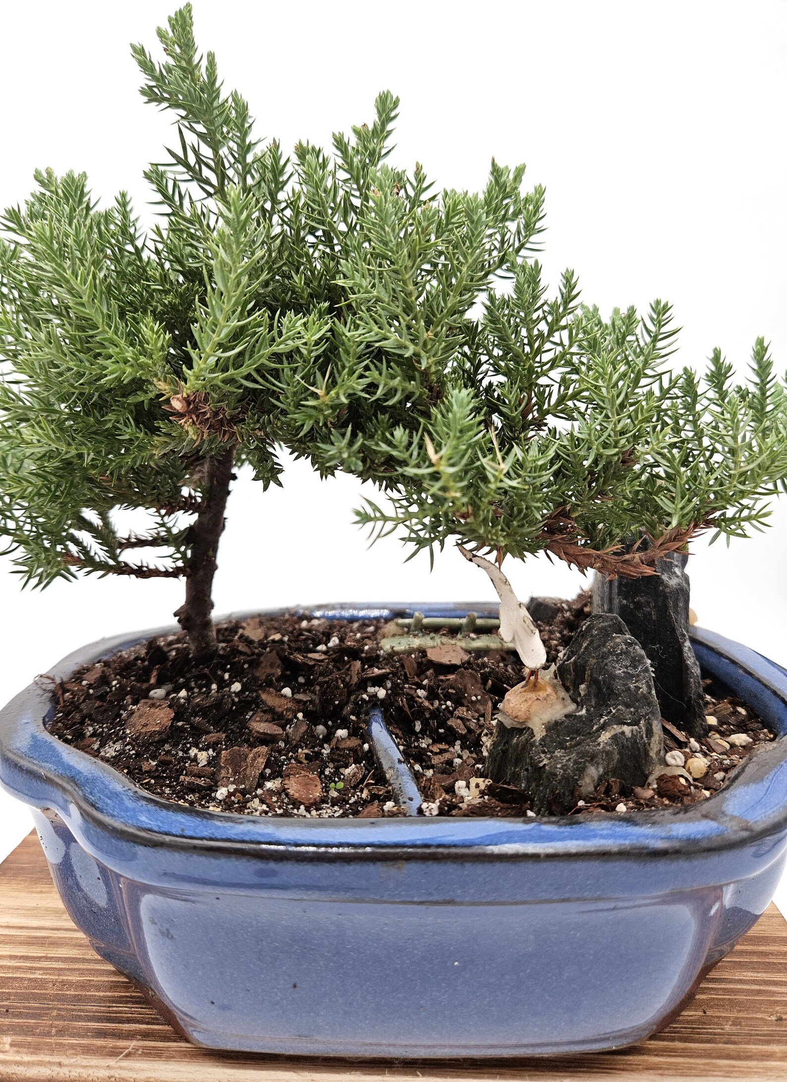 Blue Quince Fisherman Pot Gift Holiday Gift for Garden Lover Fisherman ...