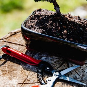 Bonsai Prune Scissor Plant Trimming Scissor Plant Cutting Scissor ...