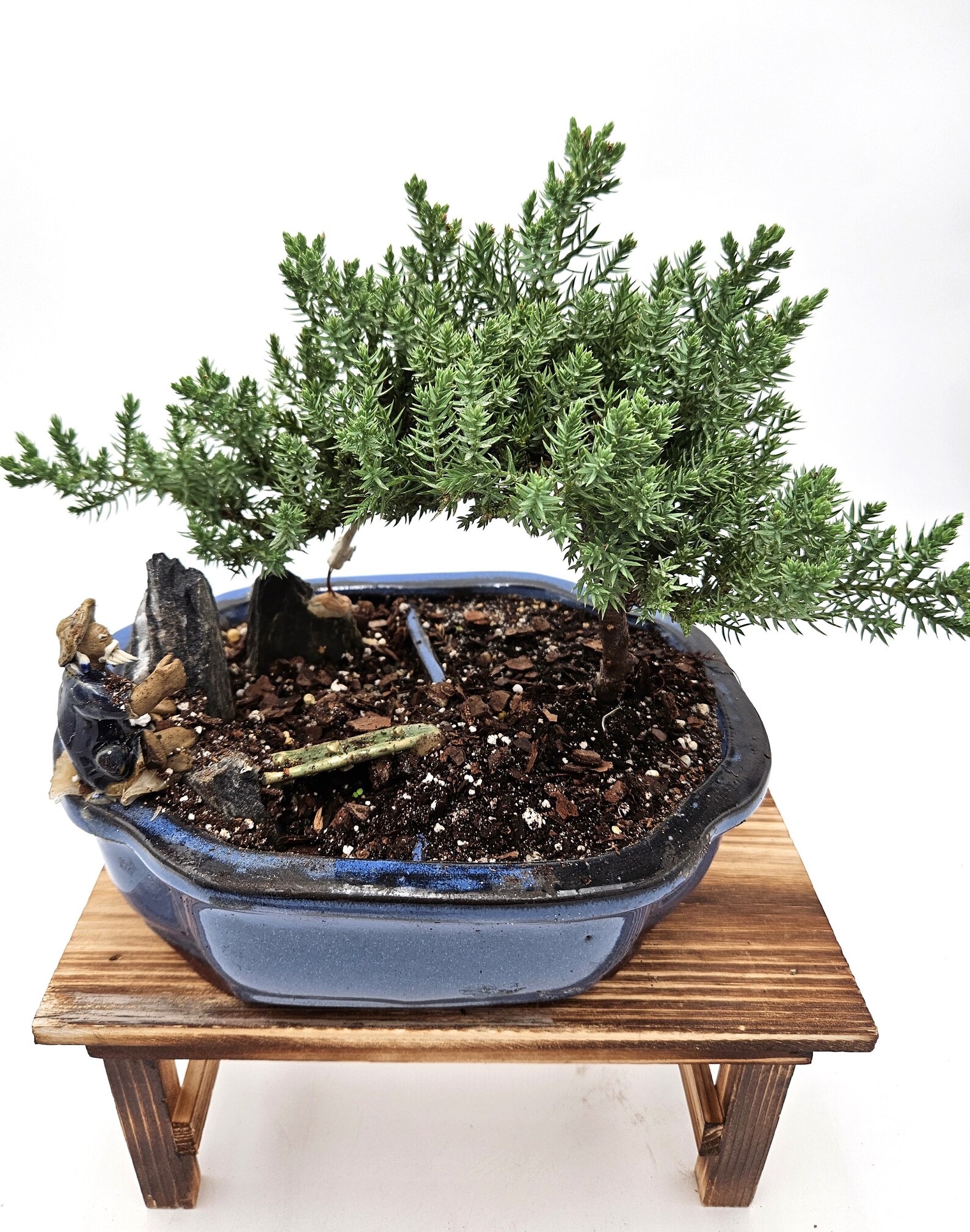 Blue Quince Fisherman Pot Gift Holiday Gift for Garden Lover Fisherman ...