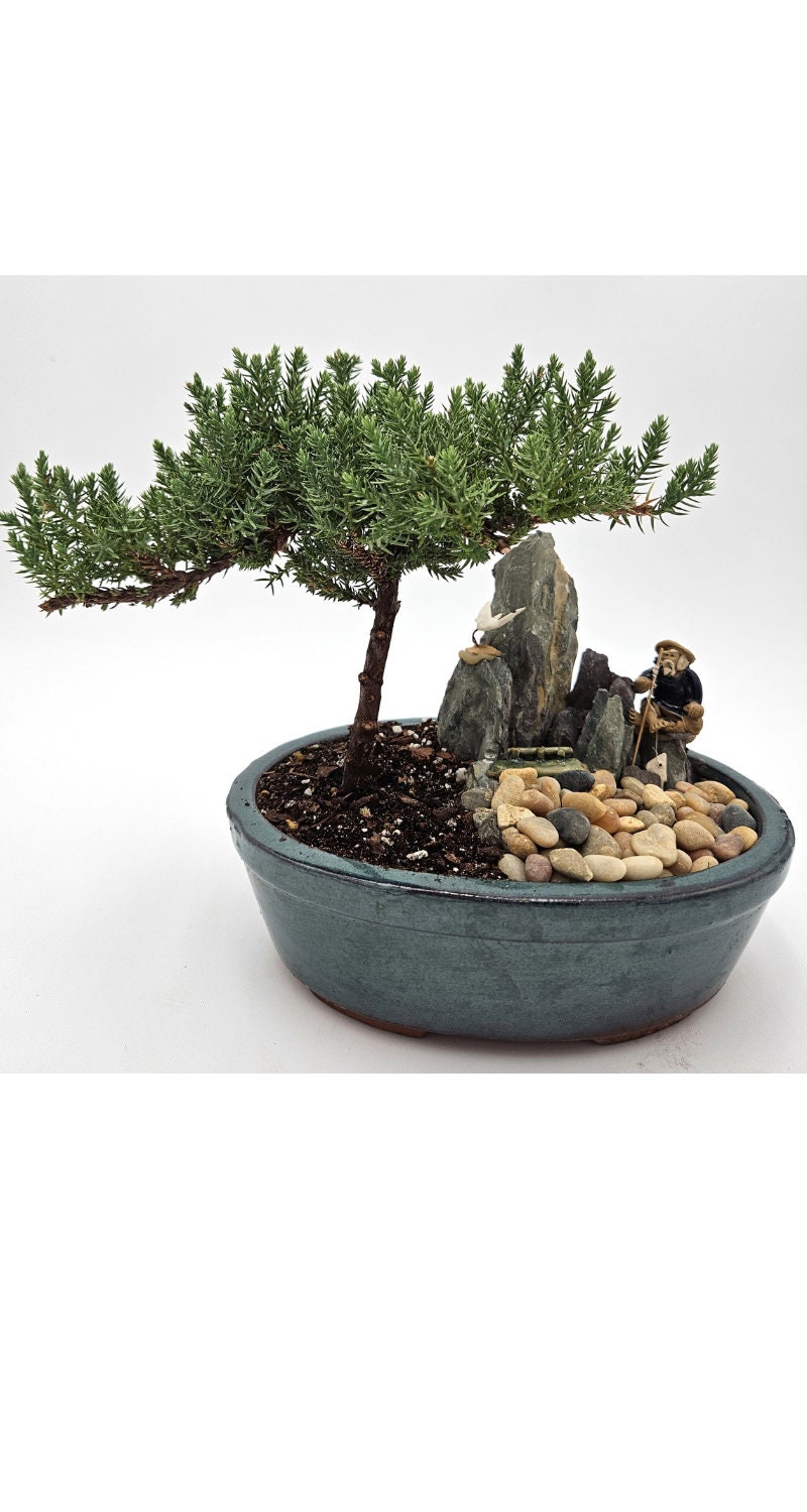 Blue Quince Fisherman Pot Gift Holiday Gift for Garden Lover Fisherman ...