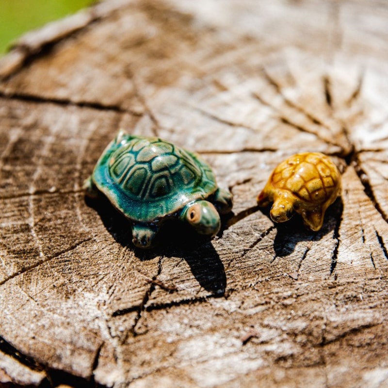 Miniature Pottery Turtle - Etsy UK
