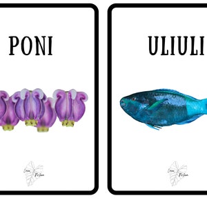 Hawaiian Flashcards - Colors in Hawaiian - ʻŌlelo Hawaiʻi - Basic ...