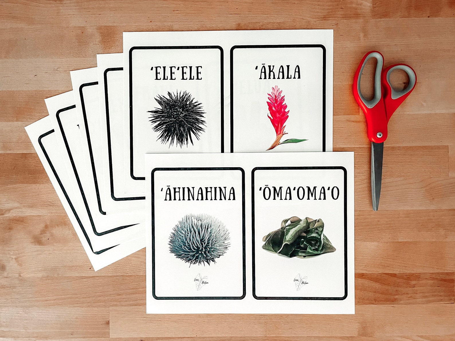 Hawaiian Flashcards - Colors in Hawaiian - ʻŌlelo Hawaiʻi - Basic ...