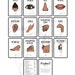 Hawaiian Flashcards - Body Parts in Hawaiian - ʻŌlelo Hawaiʻi - Basic ...
