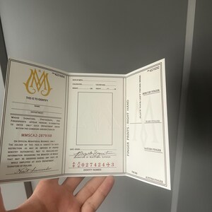 Ministry of Magic Identity Card Wizard Witch Passport - Etsy