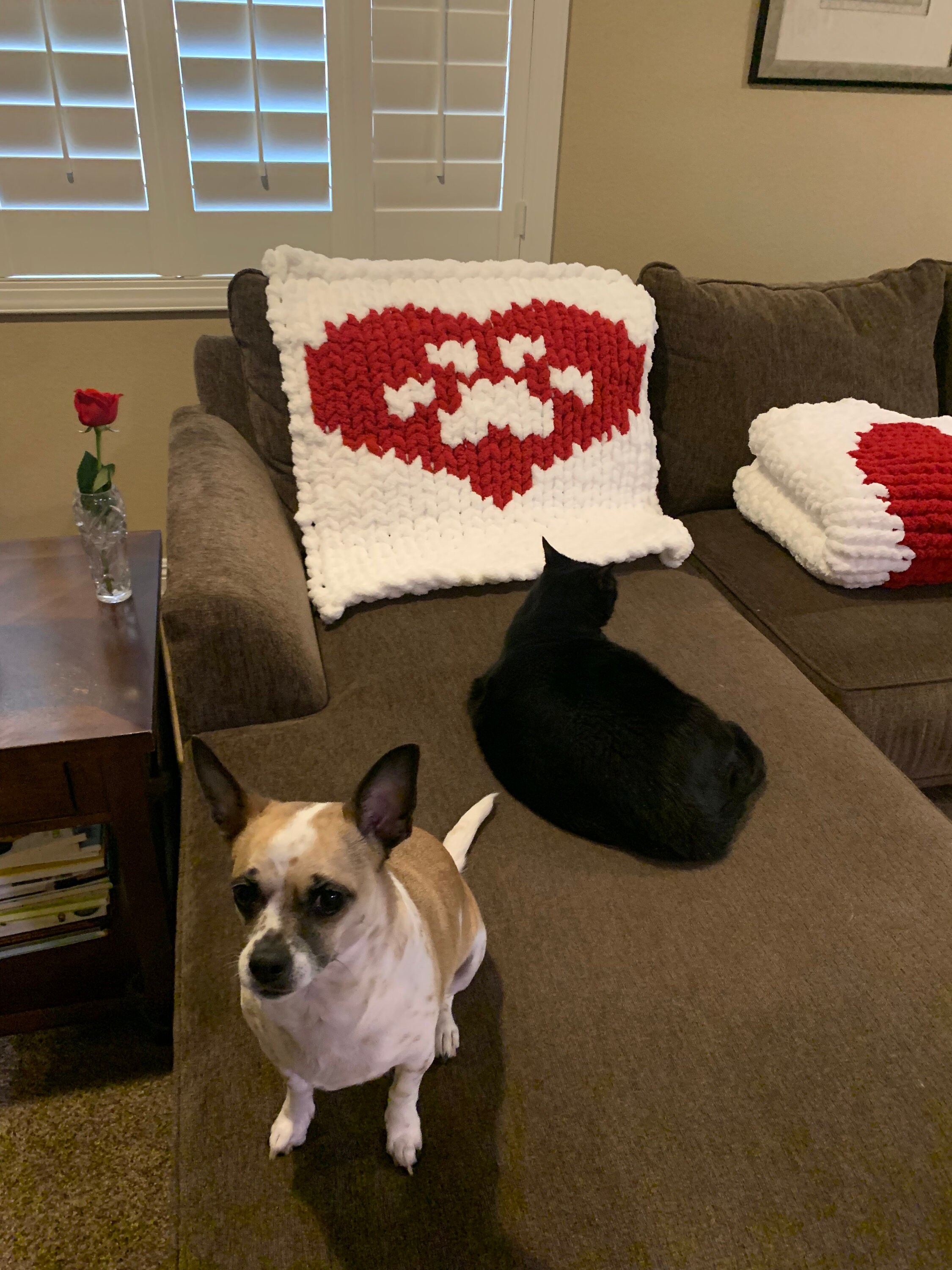Paw Print in Heart Chunky Knit Blanket SET - Etsy