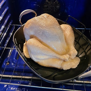 Realistic Fake Turkey - Etsy