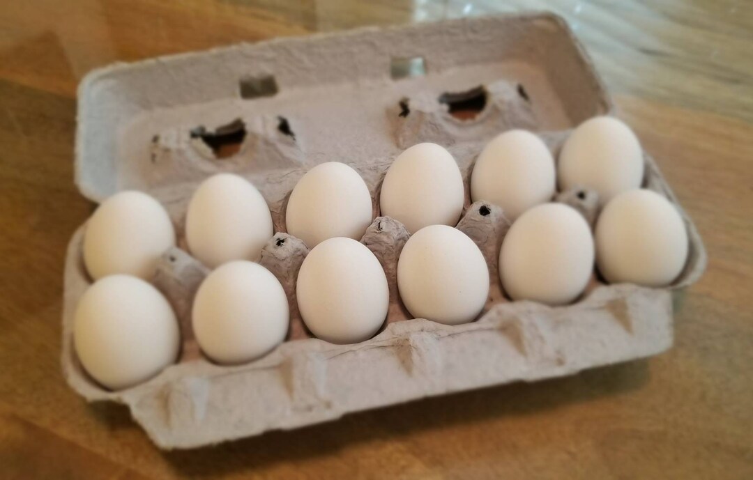 Fake Dozen White Eggs (ceramic) - Etsy