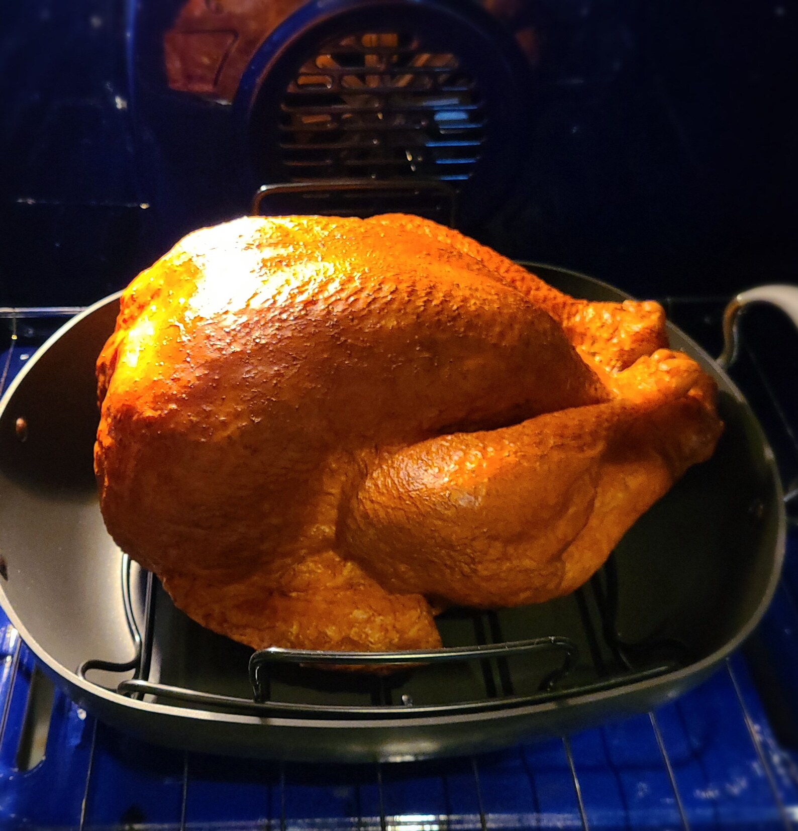 Realistic Fake Turkey - Etsy