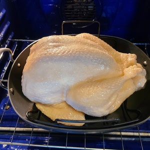 Realistic Fake Turkey - Etsy