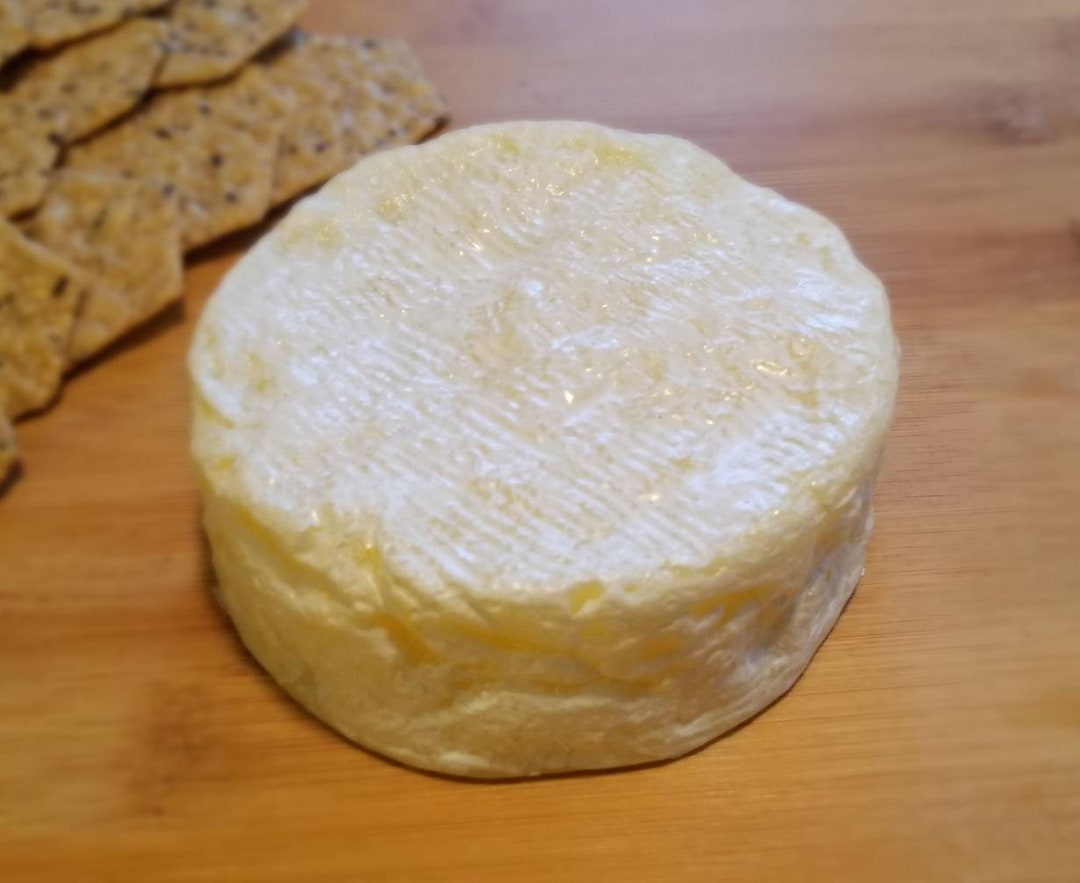 Fake Brie Cheese Wheel - Etsy