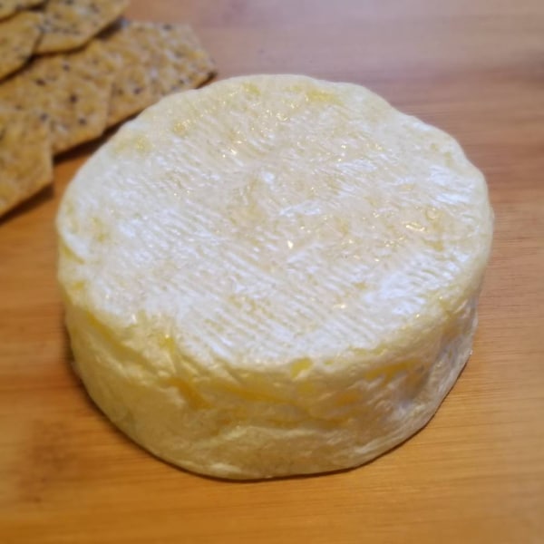 Cheese Display - Etsy