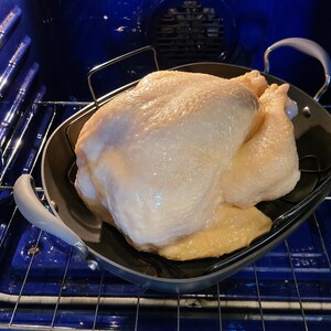 Realistic Fake Turkey - Etsy