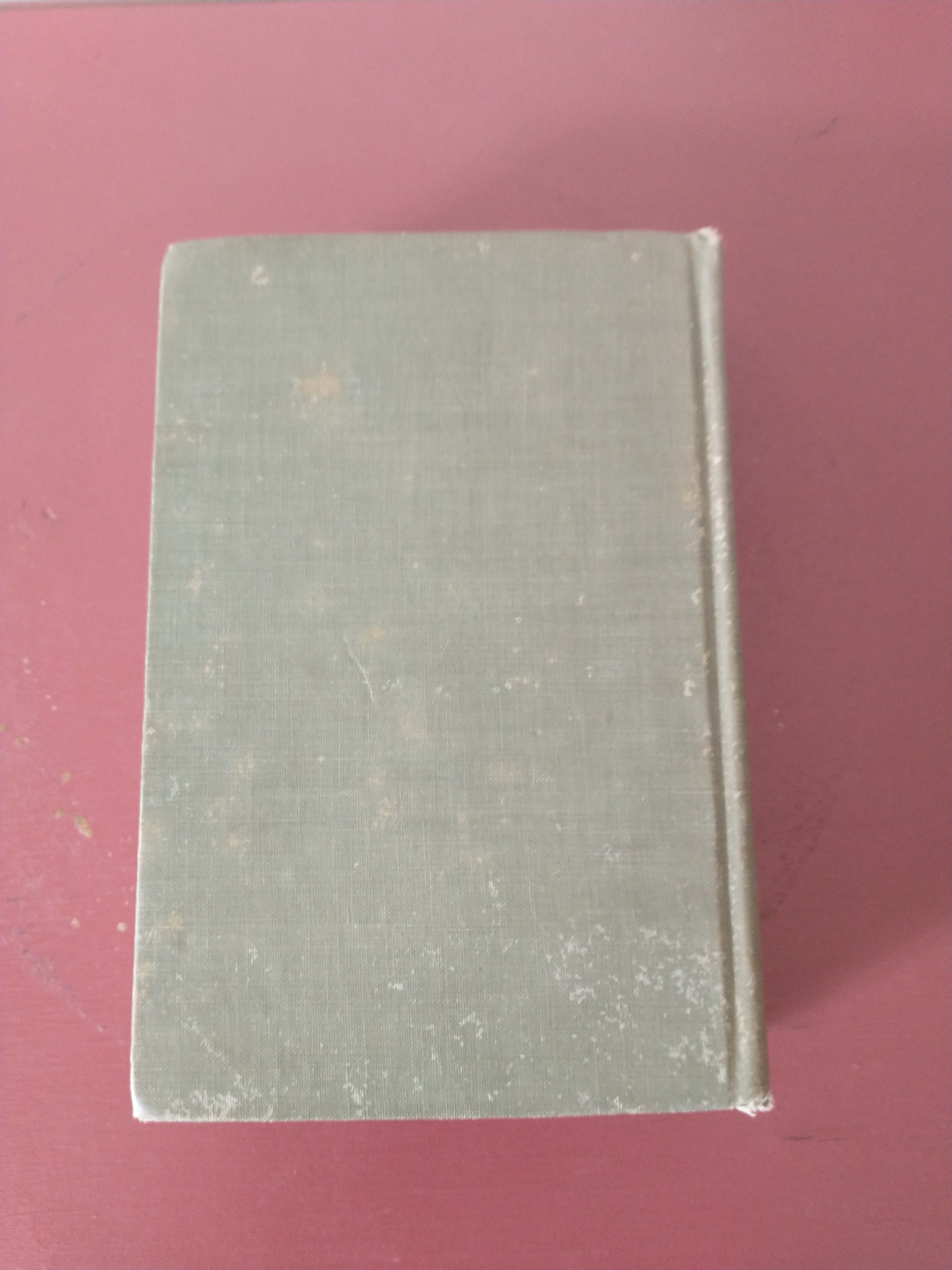 The Swiss Family Robinson by Jean Rudolph Wyss 1924 - Etsy