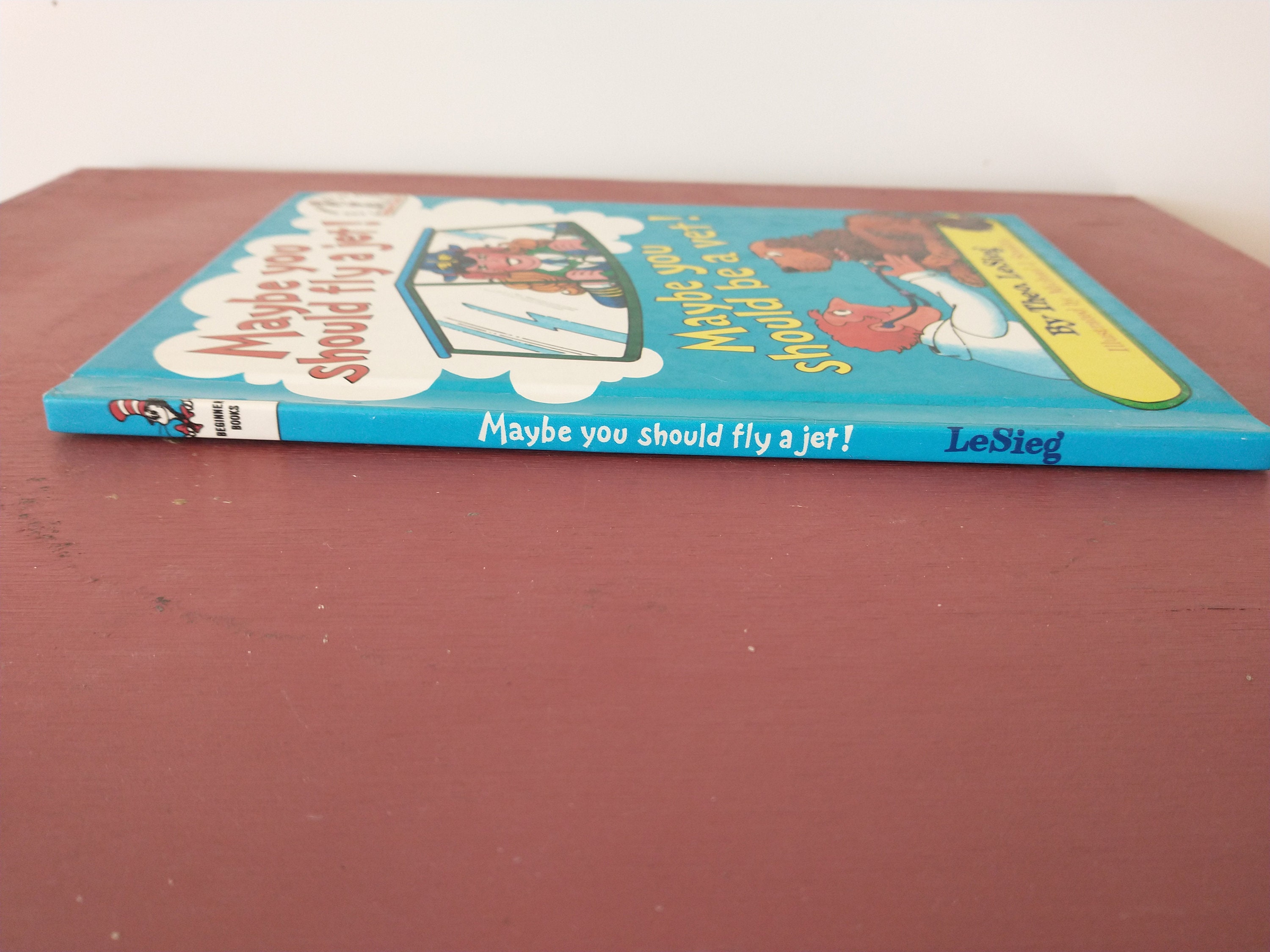 Maybe You Should Fly a Jet by Theo Lesieg Illustrated by - Etsy