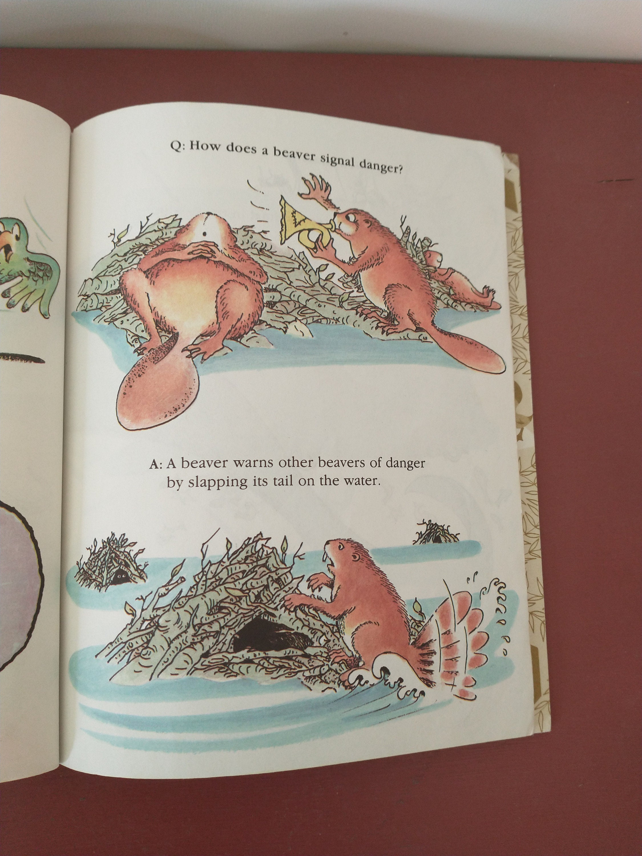 Animal Quiz Book 1983 Little Golden Book - Etsy