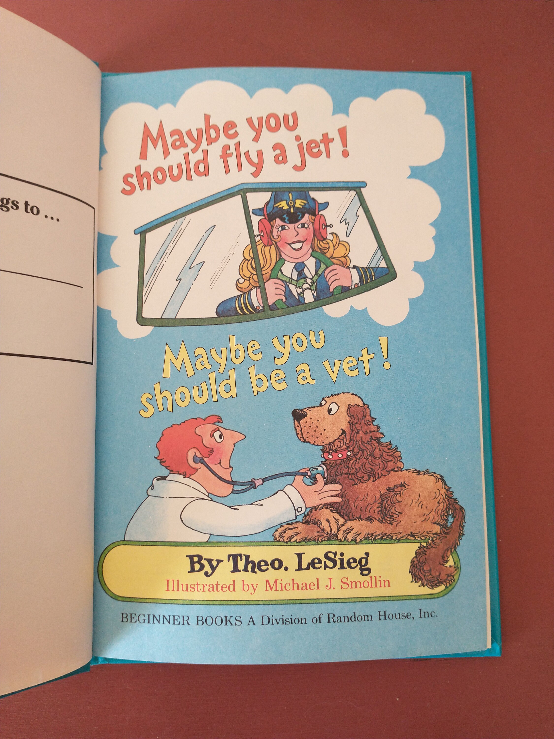 Maybe You Should Fly a Jet! by Theo Lesieg, Illustrated by Michael J ...