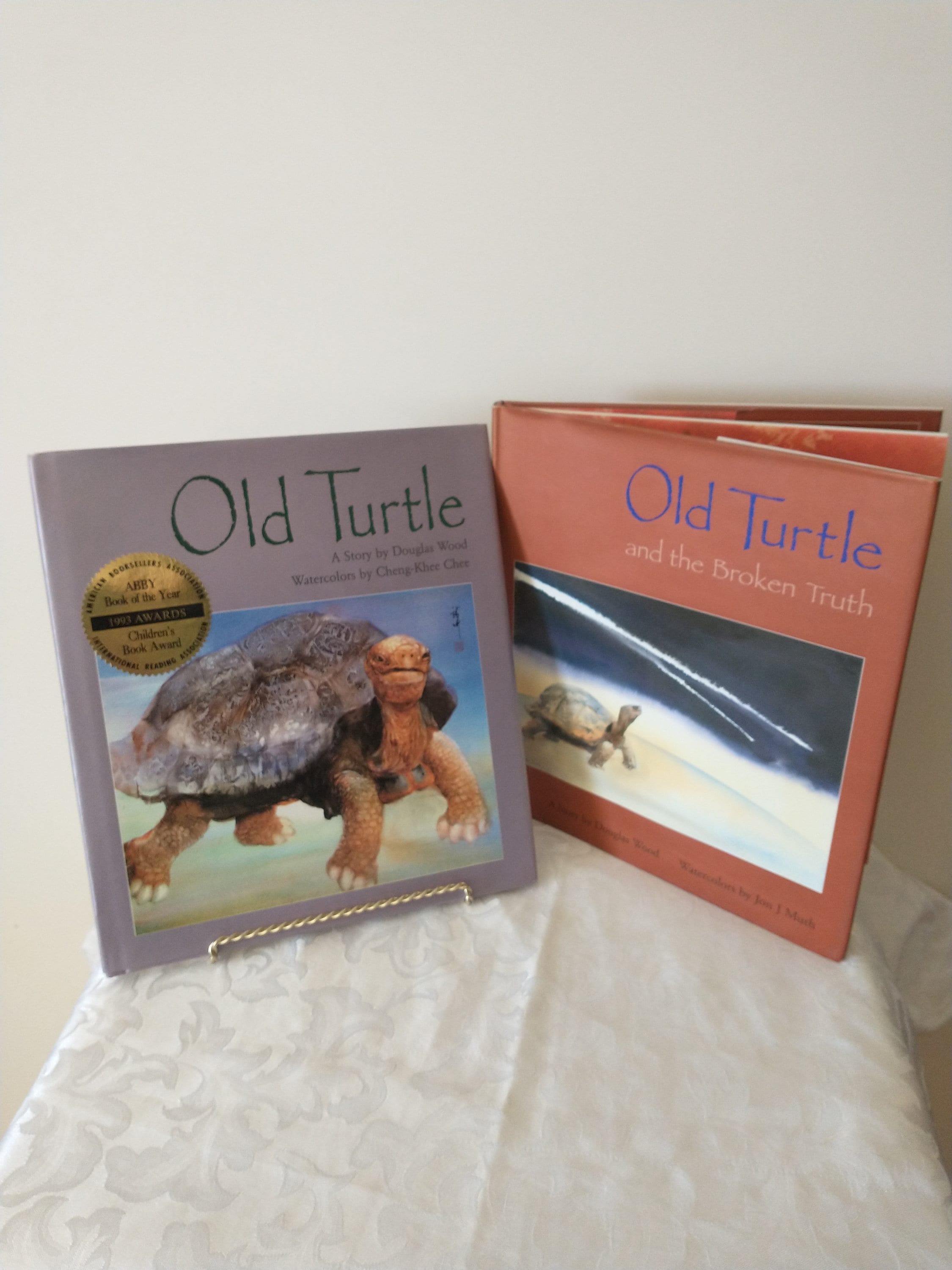 Old Turtle / Old Turtle and the Broken Truth by Douglas Wood - Etsy