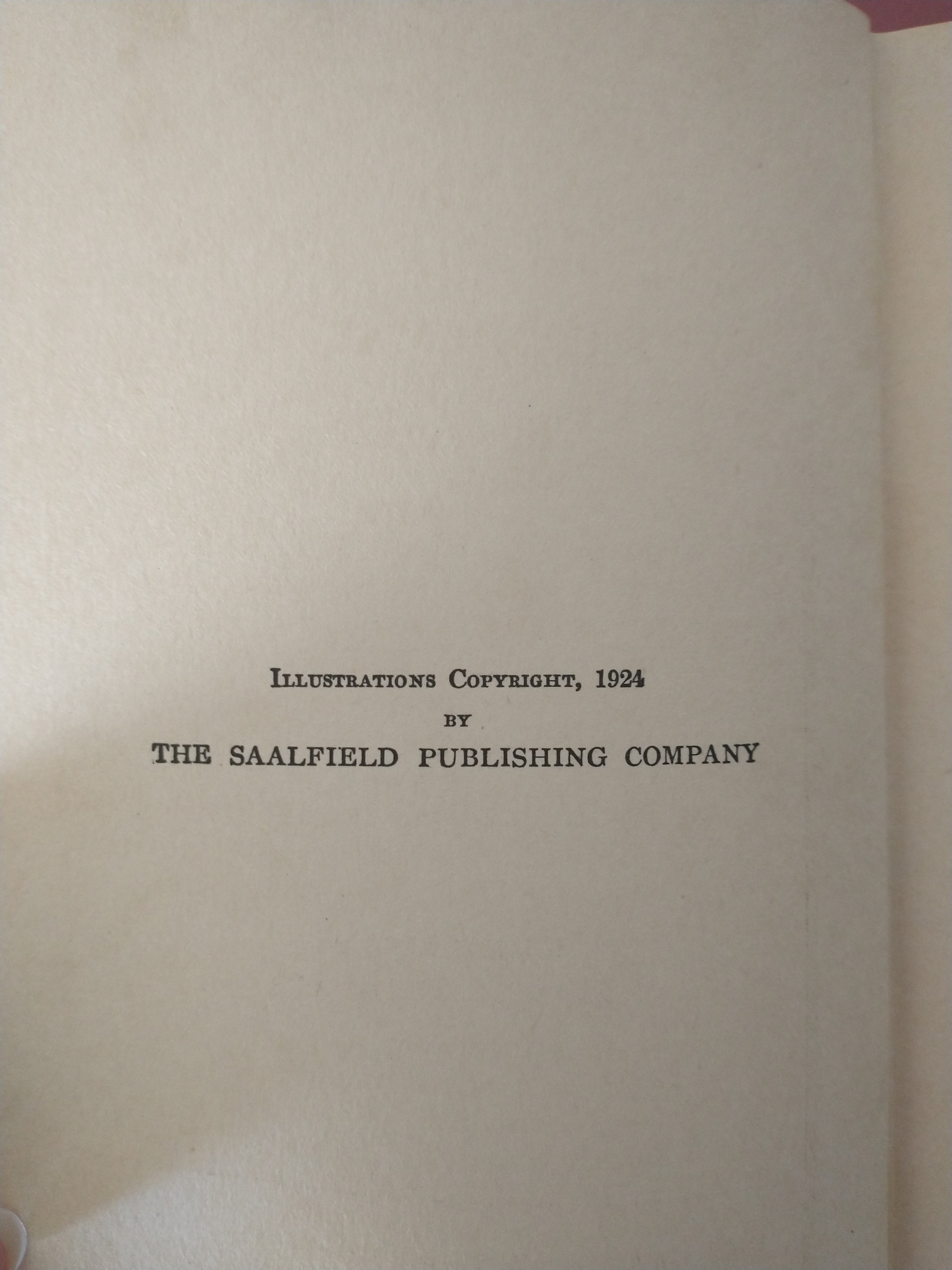 The Swiss Family Robinson by Jean Rudolph Wyss 1924 - Etsy