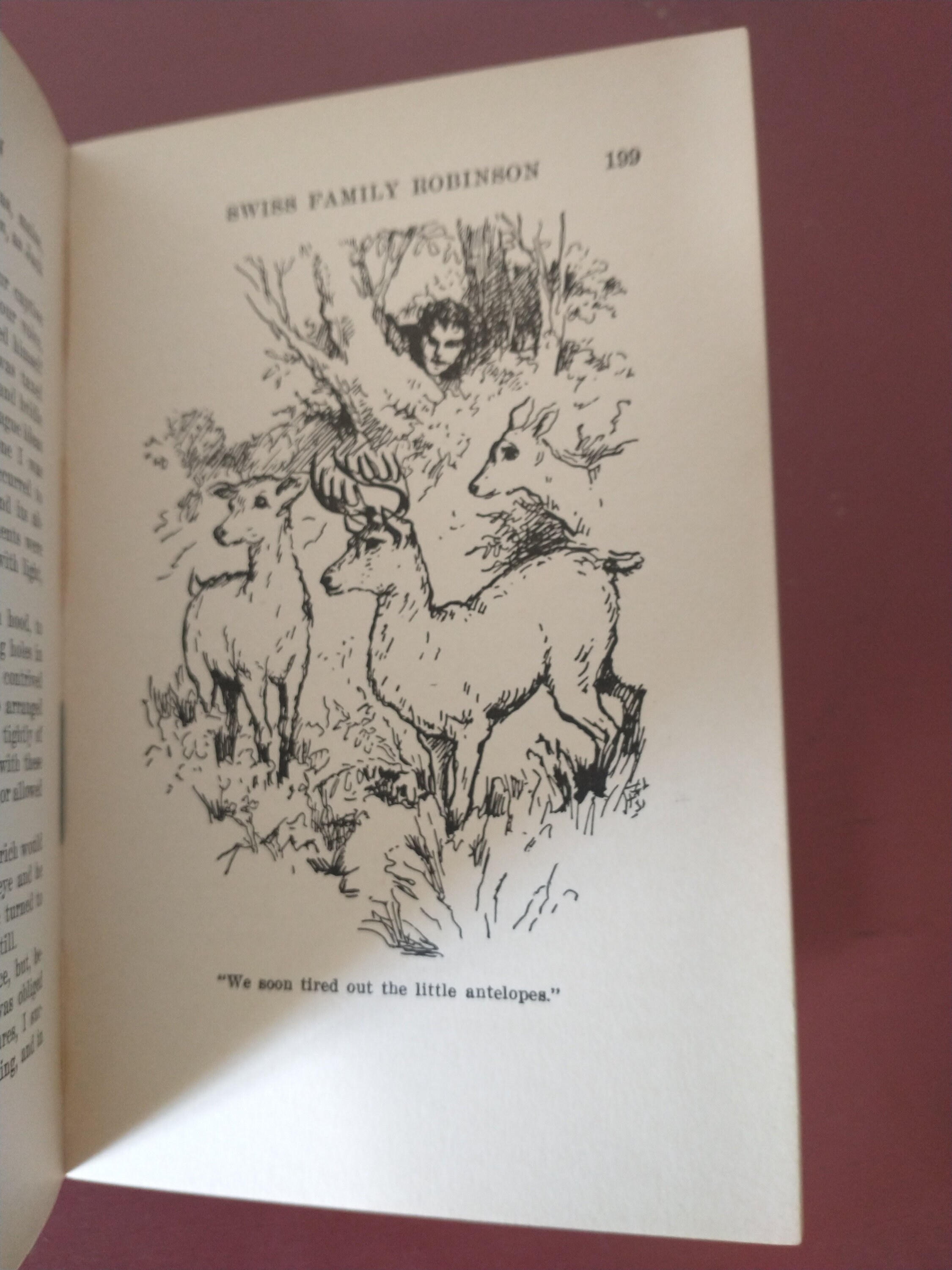 The Swiss Family Robinson by Jean Rudolph Wyss 1924 - Etsy