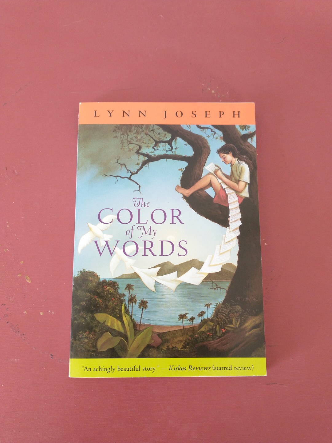 The Color of My Words by Lynn Joseph (2002 Paperback) - Etsy