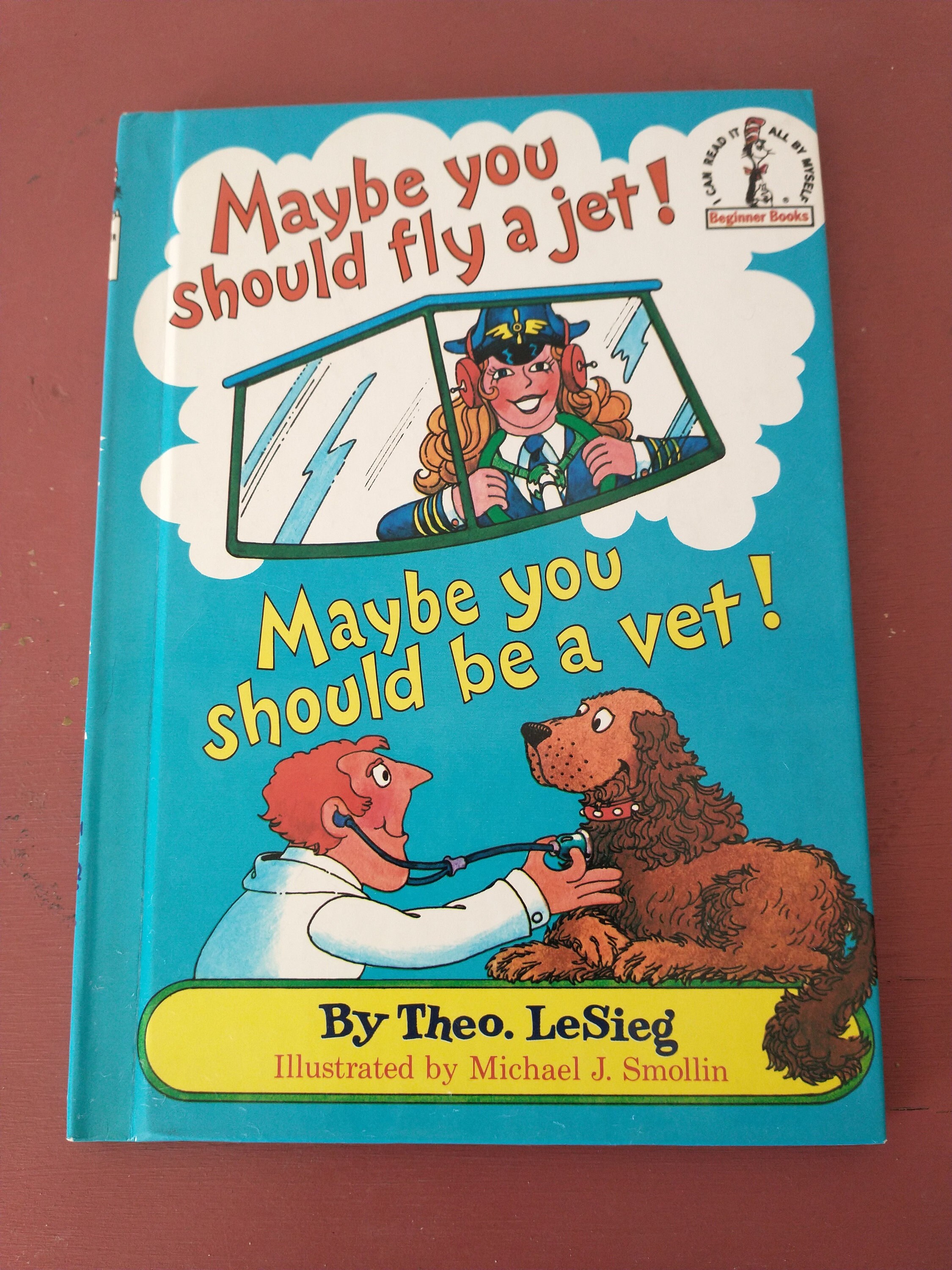 Maybe You Should Fly a Jet by Theo Lesieg Illustrated by - Etsy