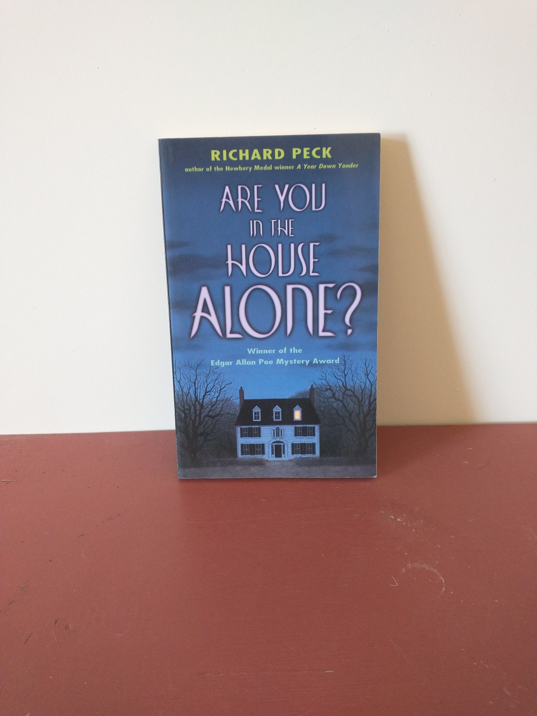Are You in the House Alone? by Richard Peck (2000 Paperback) - Etsy