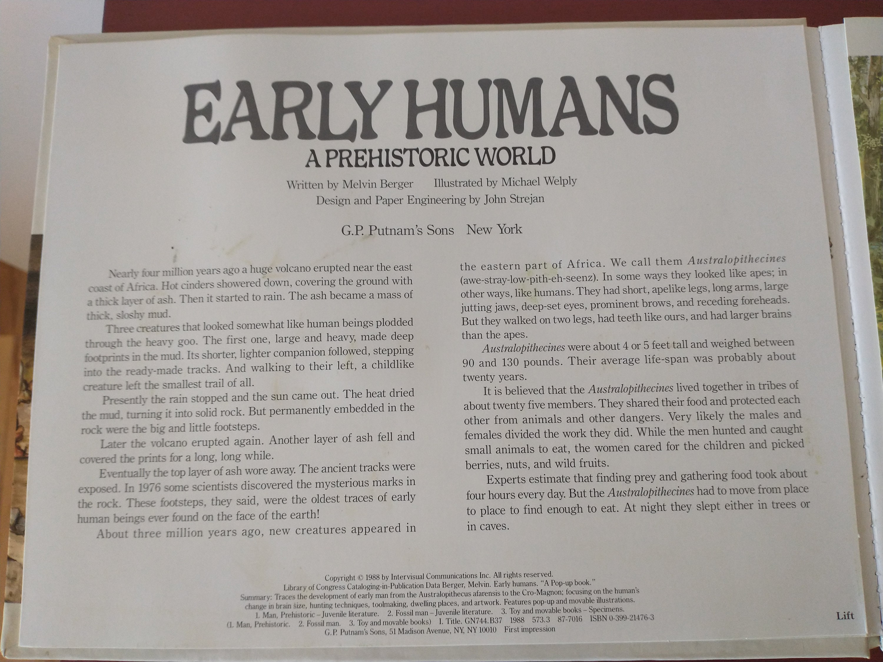 Early Humans: A Prehistoric World Pop-up Book 1988 Hardcover - Etsy