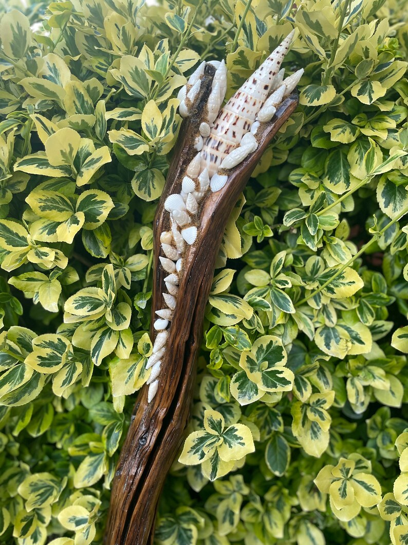 Staff of the Sea. Wizard Staff Mage Staff Druid Staff Magic Staff ...