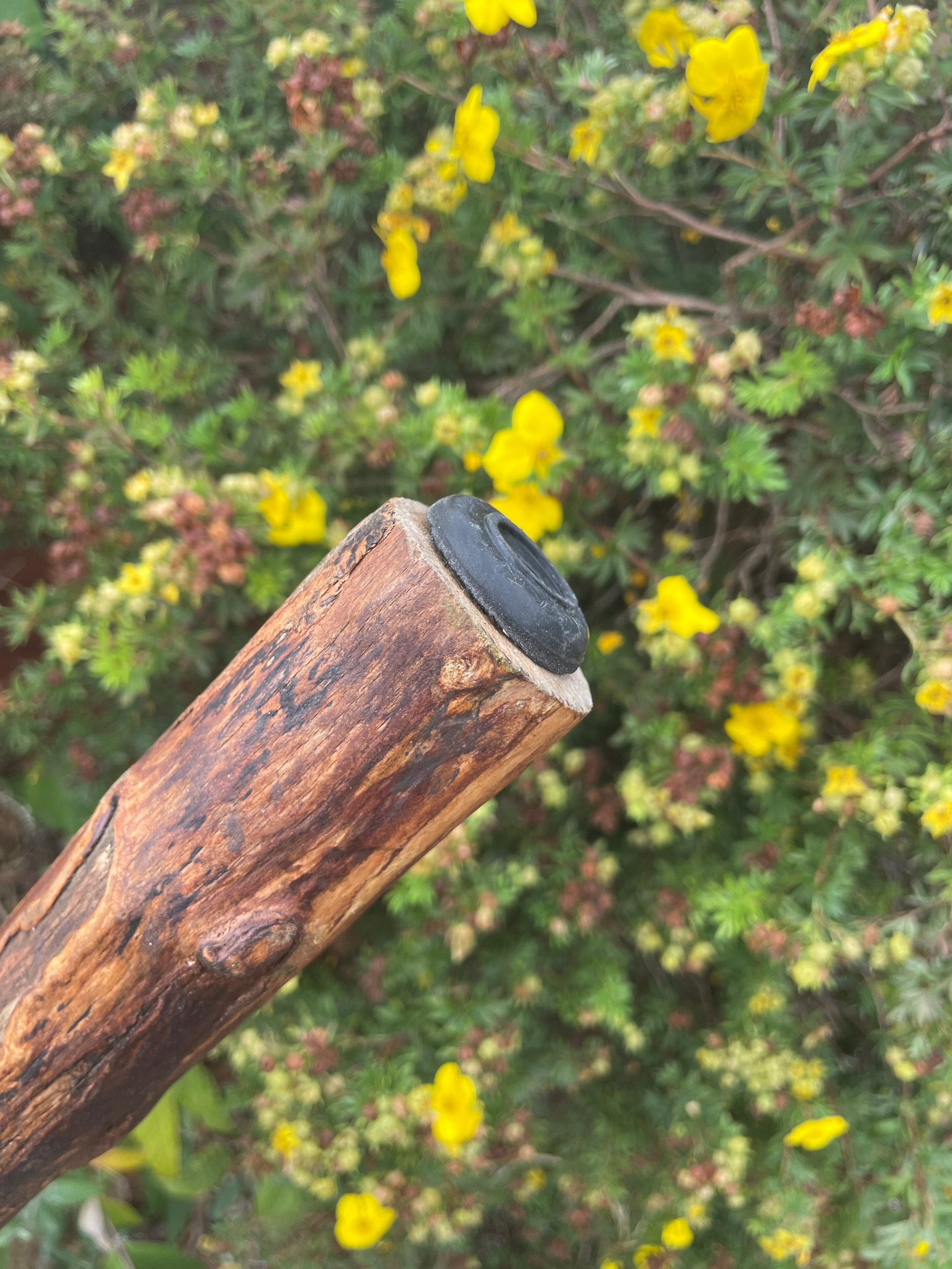 Deer Antler Witch Doctor Staff - Etsy