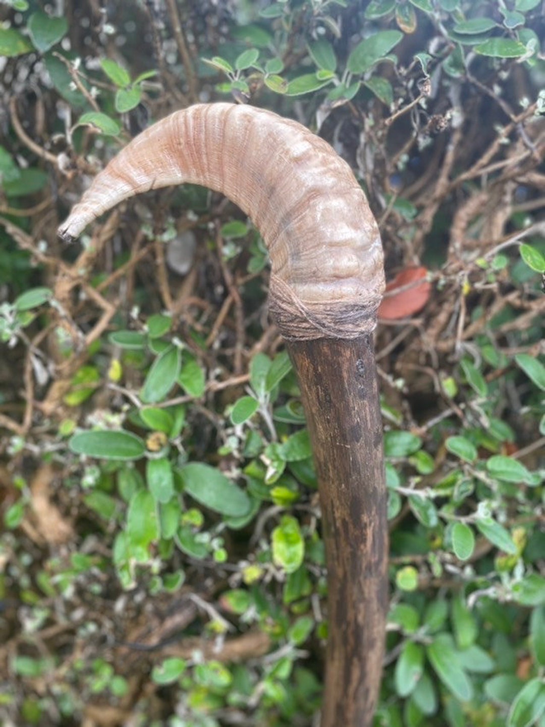 Sheep Shepard Staff. Wizard Witch Druid Spiritual Wood Mage Cosplay ...