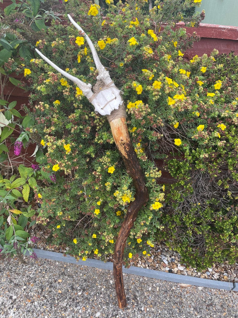 Deer Antler Witch Doctor Staff - Etsy