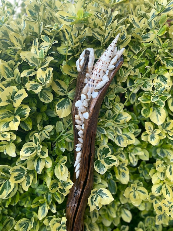 Staff of the Sea. Wizard Staff Mage Staff Druid Staff Magic - Etsy