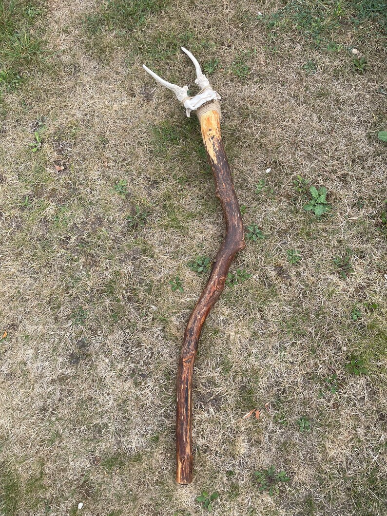 Deer Antler Witch Doctor Staff - Etsy