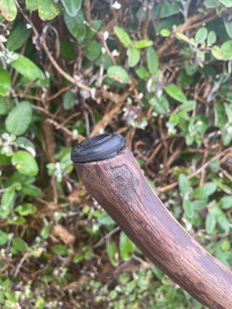 Sheep Shepard Staff. Wizard Witch Druid Spiritual Wood Mage Cosplay ...