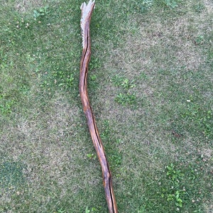 Staff of the Sea. Wizard Staff Mage Staff Druid Staff Magic Staff ...