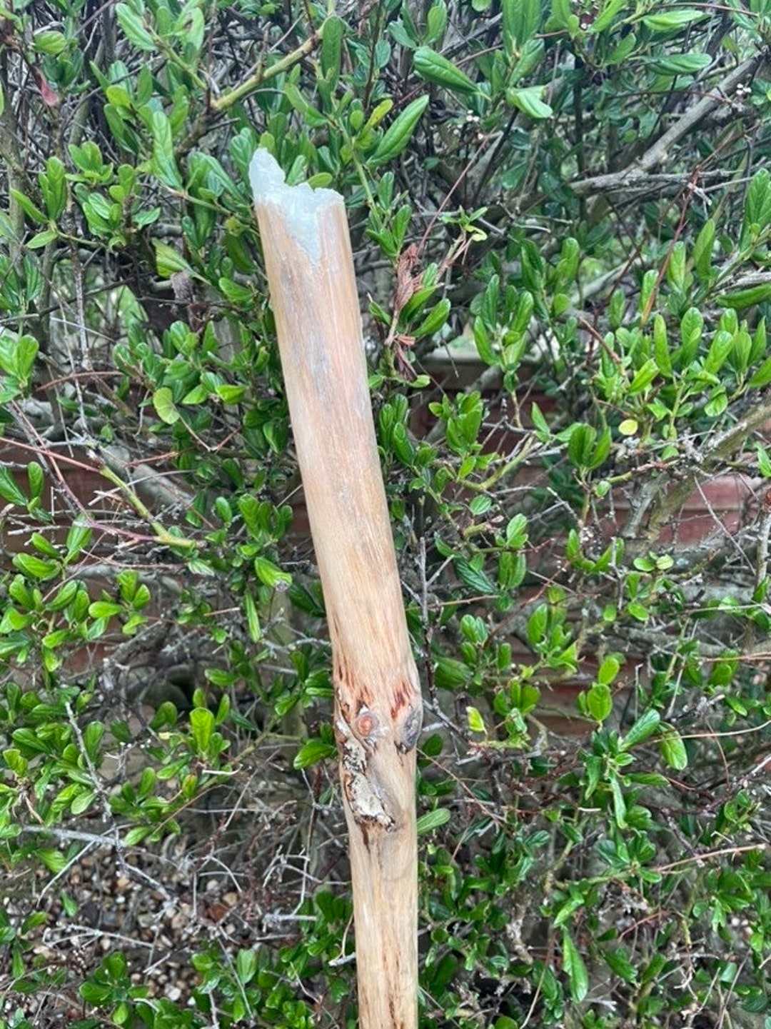 Crystal Walking Cane, Wizard Staff, Mage Staff, Magic Staff, Druid ...