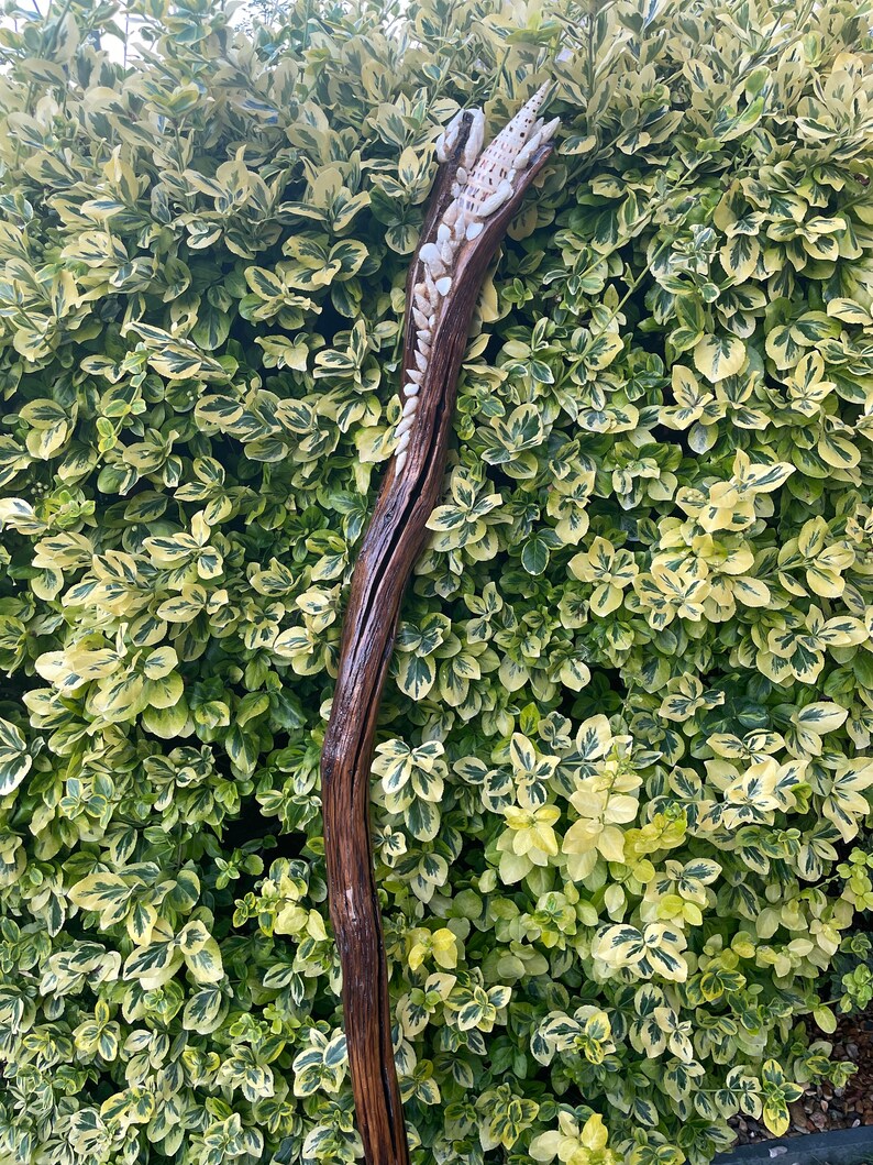 Staff of the Sea. Wizard Staff Mage Staff Druid Staff Magic Staff ...