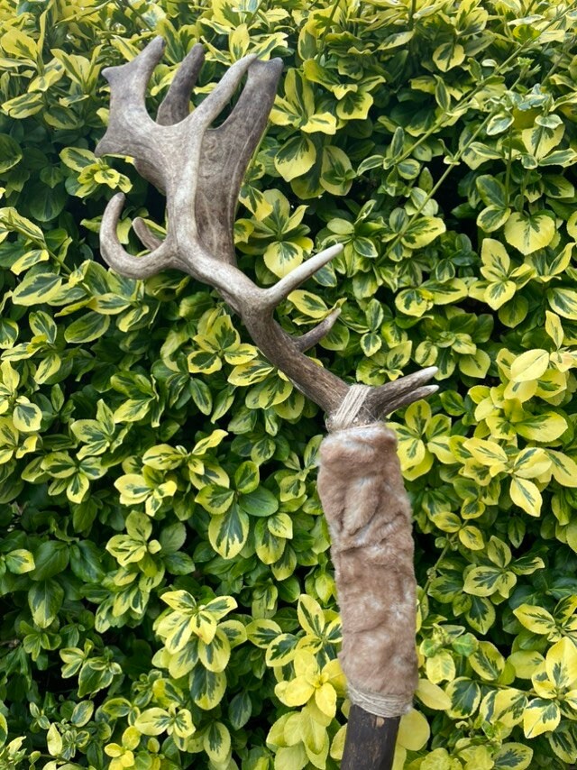 Deer Antler Wizard Staff Walking Stick Cane Mage Magic - Etsy